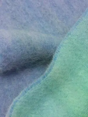 Acne Studios Fringed Logo Scarf - Blue