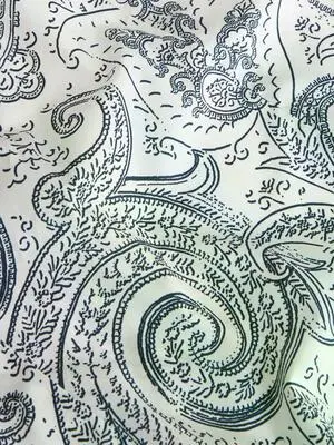 Etro Paisley Print Button-up Shirt