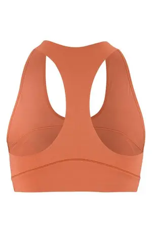 CRAFT Collective Padded Sports Bra - Sequoia