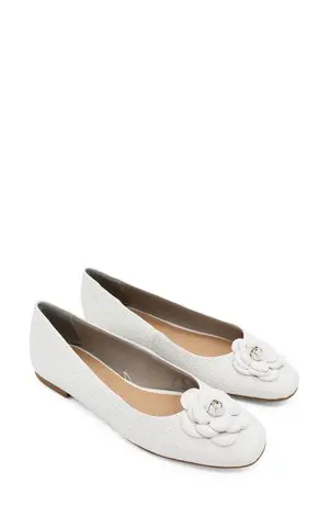 BOTTERO Botsamya Ballerina Flat - Bco / Bco