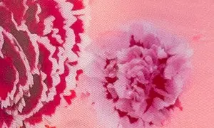 MAPALE Strappy Floral Mesh Teddy