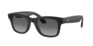 Ray-ban Wayfarer Sunglasses - Graphite