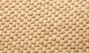Lié Studio Small Bianca Raffia Tote