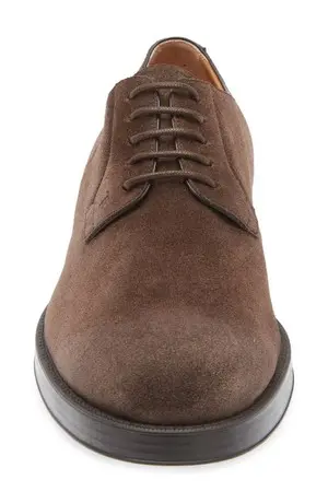TOD'S Plain Toe Derby - Testa Moro