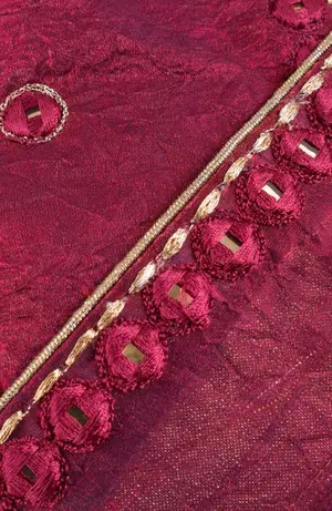 RAAS Hand Embroidered Shimmer Saree With Blouse