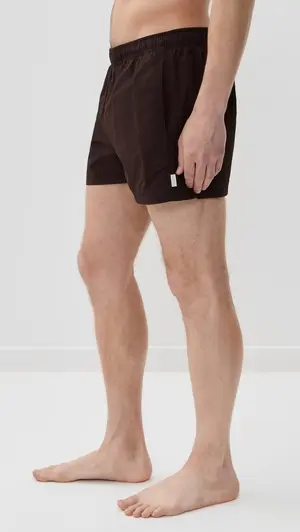 AUTO-REPLY Sebastian Swim Trunks - Driftwood