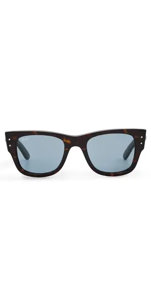 Tortoiseshell Wayfarer Sunglasses