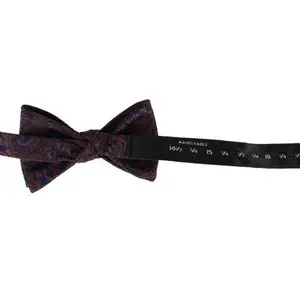 Trafalgar Sobee Paisley Silk Bow Tie - Brown