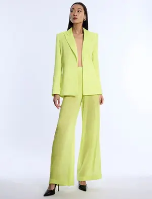Bcbgmaxazria Textured Blazer