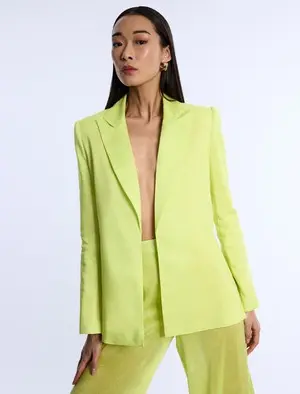 Bcbgmaxazria Textured Blazer