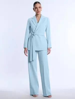 Bcbgmaxazria Belted Tailored Jacket