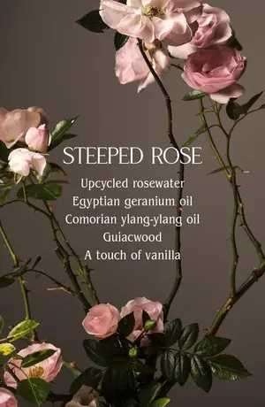HOMECOURT Hand Wash - Steeped Rose
