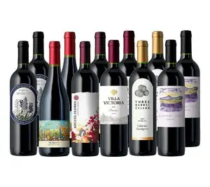VINO VOYAGE Red Wine Lovers 12 Wines Variety - One-color