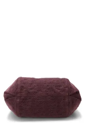 LOUIS VUITTON Ombré Monogram Denim Sunbeam