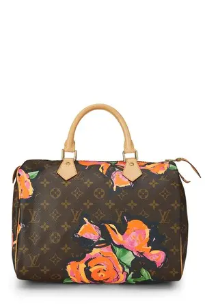 LOUIS VUITTON Speedy 30 Handbag