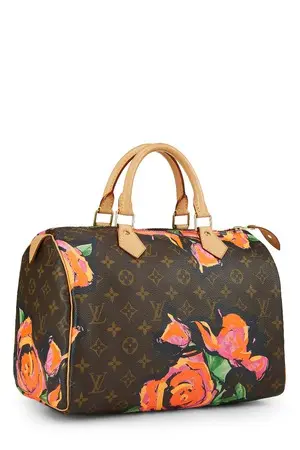 LOUIS VUITTON Speedy 30 Handbag