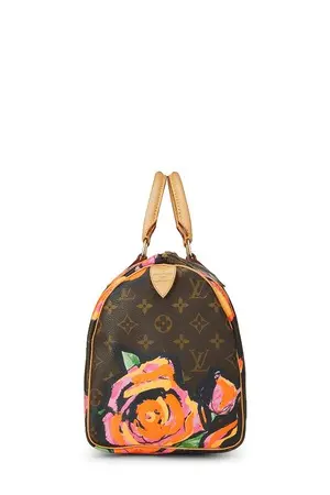 LOUIS VUITTON Speedy 30 Handbag