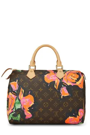 LOUIS VUITTON Speedy 30 Handbag