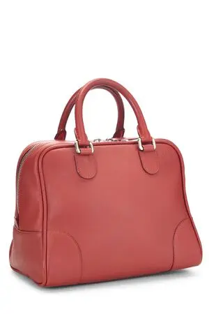 Loewe Leather Amazona Handbag