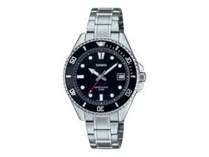 Casio Standard Watch - Stainless Steel