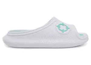 RIGORER Horizon 2 Slides