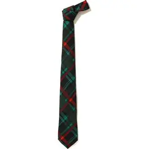 BAPE Check Neck Tie - Green