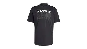 Adidas Graphic Loose T-shirt