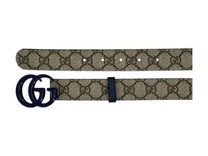 Gucci Striped Webbing Belt Beige/blue