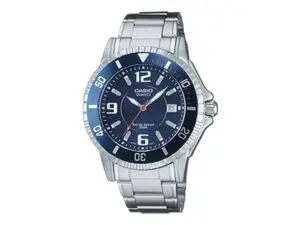 Casio Standard Watch - Stainless Steel