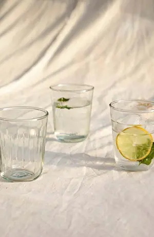 THE COLLECTIVE HOME Hudson Short Glassesset Of 6