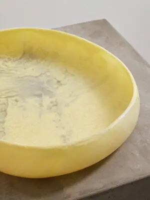 Dinosaur Designs Rock Large Resin Bowl