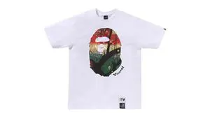 A BATHING APE X Van Gogh Museum Ape Head Canvas Art Iv Tee Shirt - White