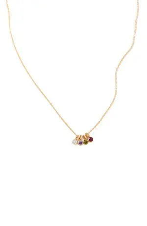 SET & STONES Multi Birthstone Charm Necklace - Gold / 4 Charms