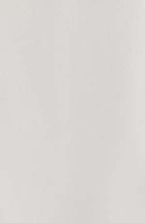 TAHARI ASL Belted Jacket And Skirt Set - Ivory