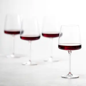 SCHOTT ZWIESEL Sensa Burgundy Wine Glass, Set Of 6