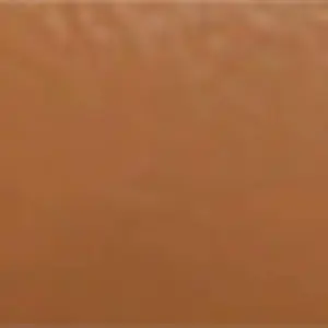 Paris Texas Leather Lidia Mules 105