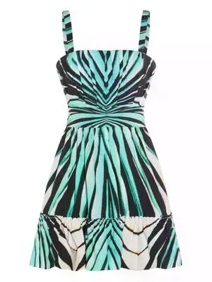 Roberto Cavalli Zebra-print Skater Dress - Blue
