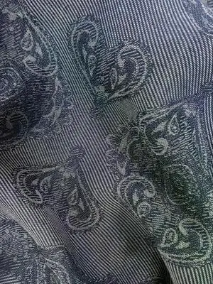 Etro Paisley-print Fringed Scarf - Blue