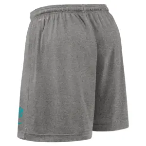 Nike Miami Dolphins Sideline Reversible Dri-fit Nfl Shorts - Green
