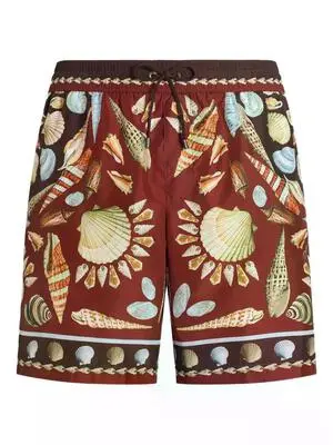 Dolce & Gabbana Shell-print Swim Shorts - Brown