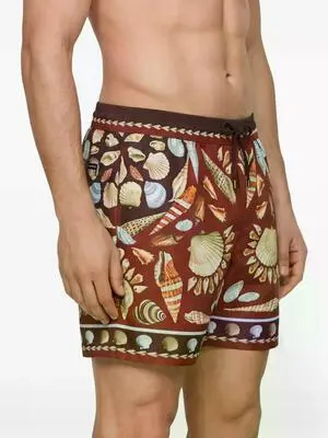 Dolce & Gabbana Shell-print Swim Shorts - Brown