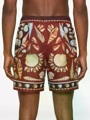 Dolce & Gabbana Shell-print Swim Shorts - Brown