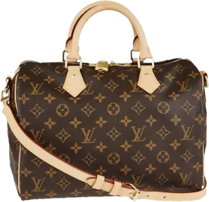 LOUIS VUITTON Speedy Bandouliere Monogram 30 - Multicolor