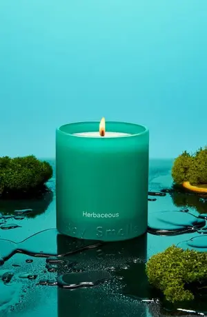 BOY SMELLS Herbaceous Candle