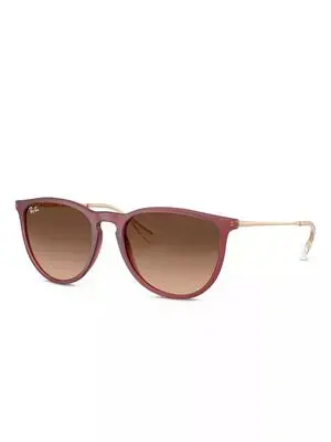 Ray-ban Erika Sunglasses - 6815a5 Polido Violeta Borracha