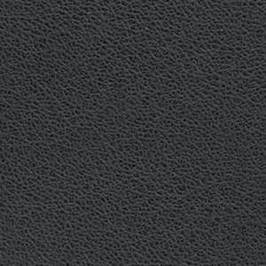 Alexander McQueen Calfskin Skull Bifold Card Holder