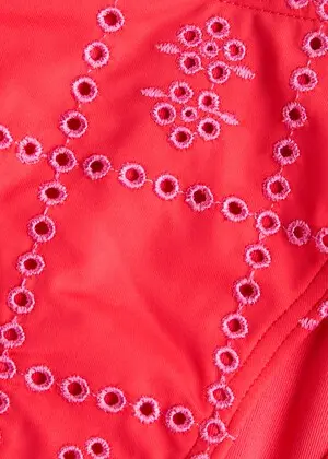 DAMSON MADDER Embroidered Bikini Briefs