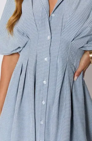 VICI Benson Pleated Shirtdress