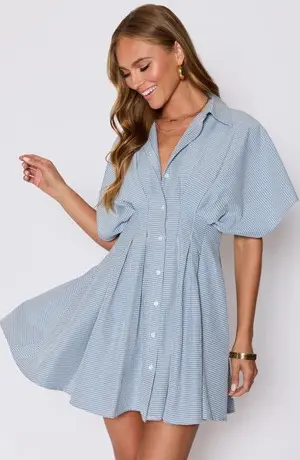 VICI Benson Pleated Shirtdress