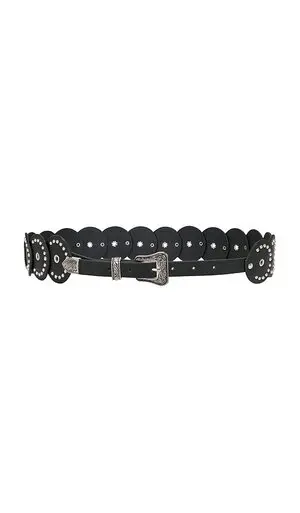 8 OTHER REASONS Western Disc Belt